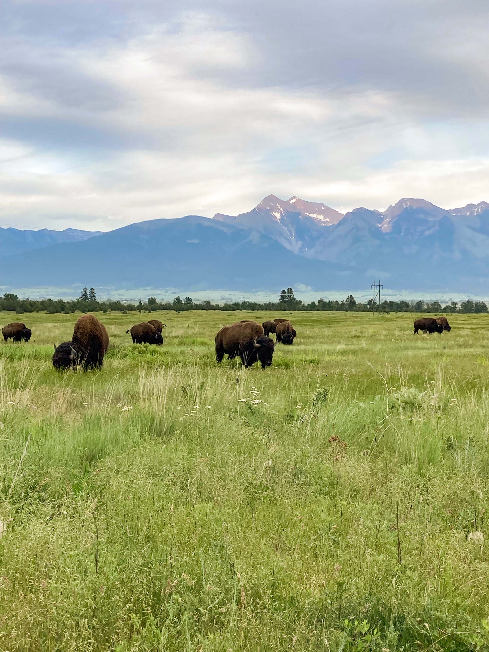 Our Company – Rocky Mountain Twist